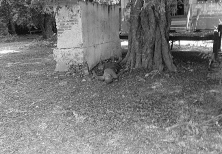 မြင်းခြံမြို့နယ်၊ ကျောက်တိုင်ရွာ ရွှေစေတီ ဘုန်းကြီးကျောင်းကို စစ်တပ်က တိုက်ပွဲဖြစ်ပွားခြင်းမရ